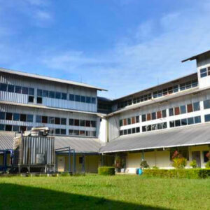 Sinkona Indonesia Lestari | Quinine Derivatives Supplier