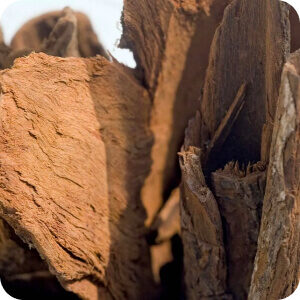 Sinkona Indonesia Lestari | Quinine Derivatives Supplier