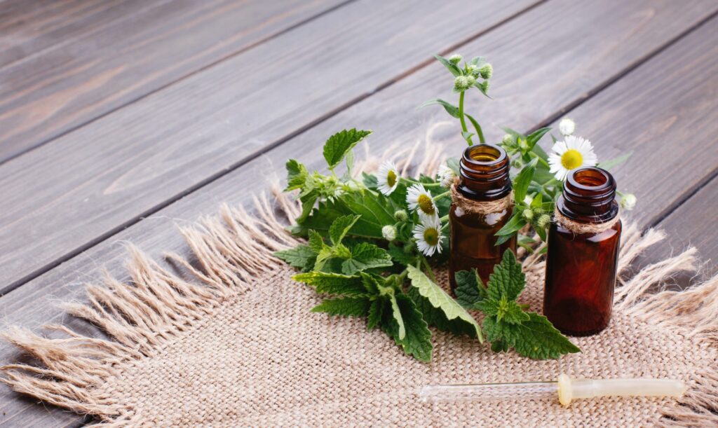 The Power of Patchouli Oil Insect Repellent